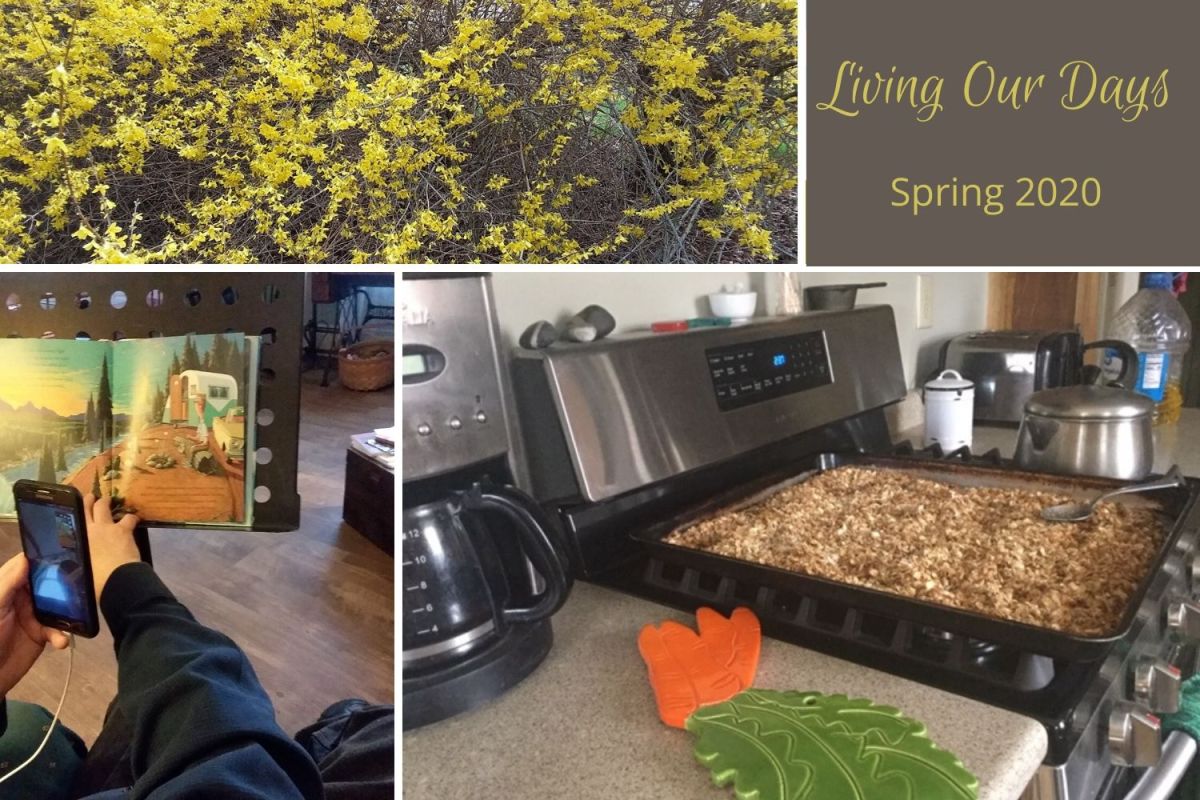 Concerning the Times and the Seasons: Spring 2020 – Living Our Days