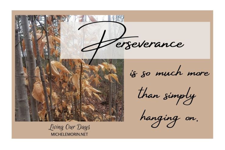 Persevere in Hope Even When Everything Feels Too Hard – Living Our Days