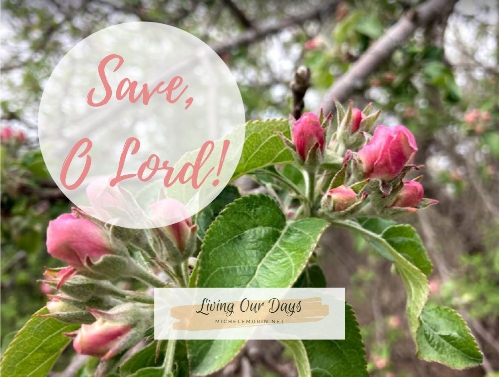 Why You Should Pray a Psalm Every Day – Living Our Days