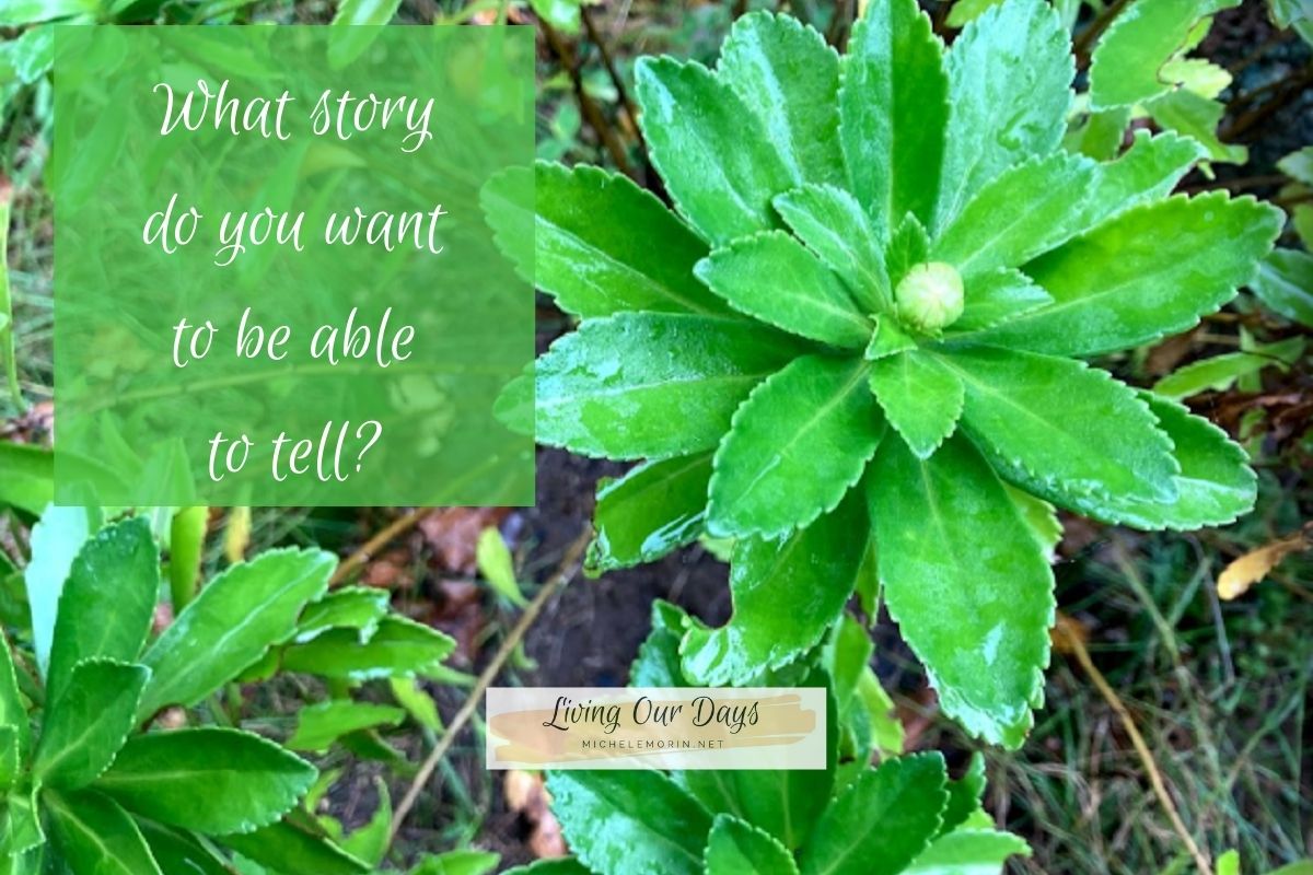 How to Keep Persevering When the Work Feels Hard and Horrible – Living ...