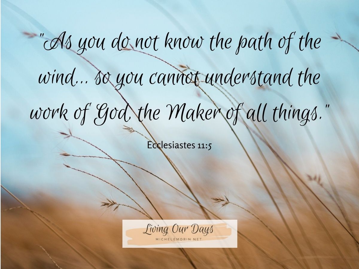 What to Do When You Thought You Got It Right, But You Got It All Wrong ...