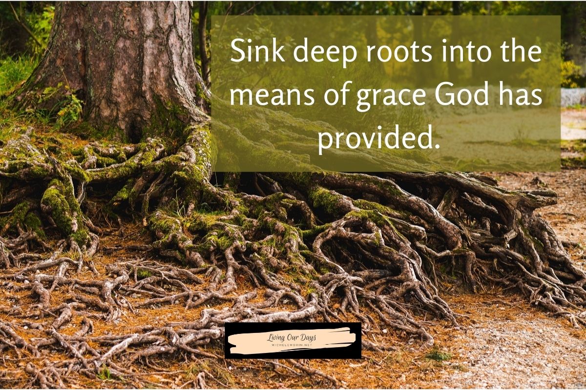 What Are Spiritual Disciplines and Why Are They So Important? – Living ...