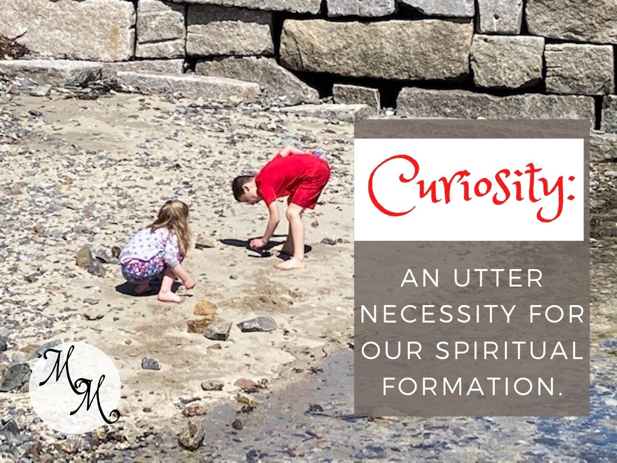 The Practice of Curiosity and the Rewards of a Lifelong Quest for ...