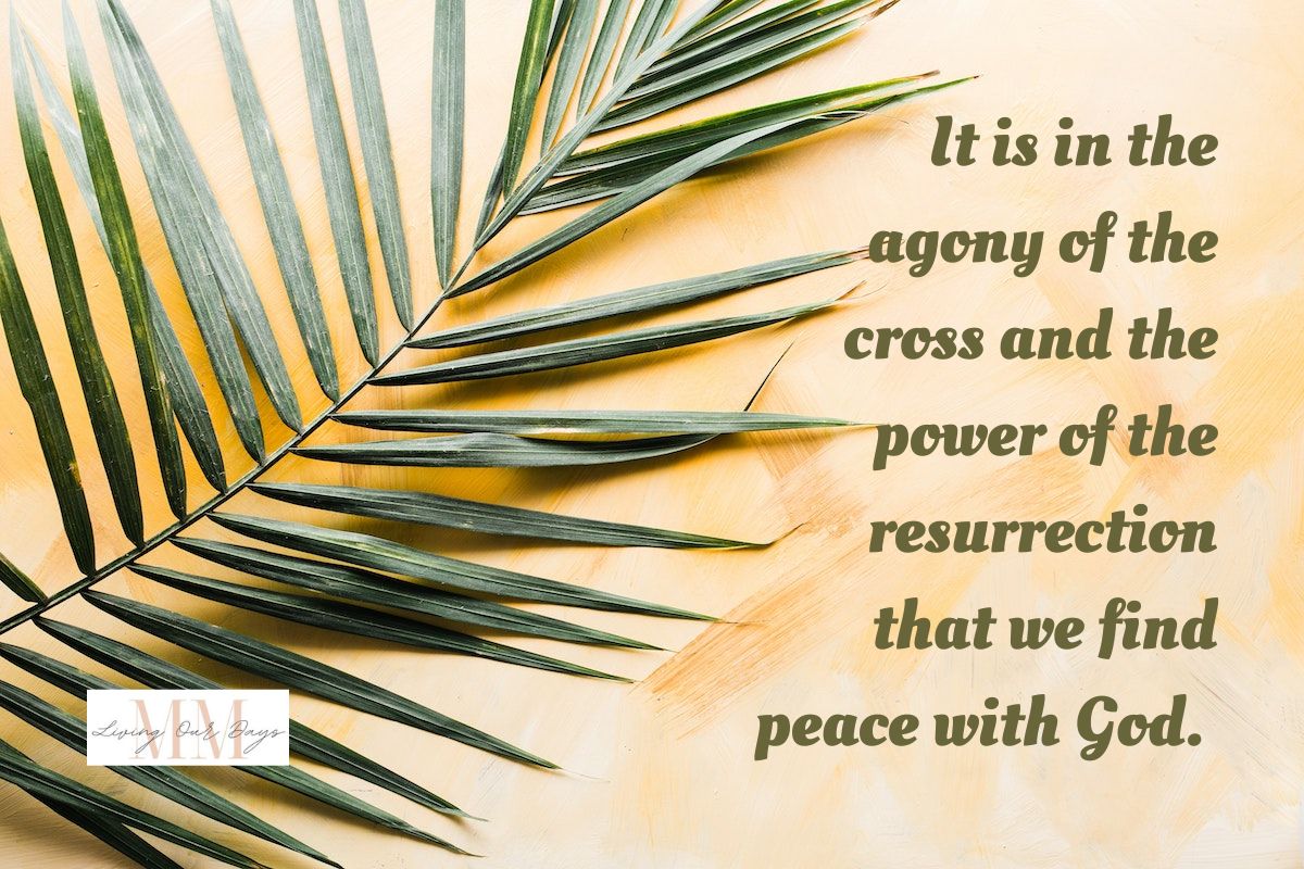 Palm Sunday Pictures