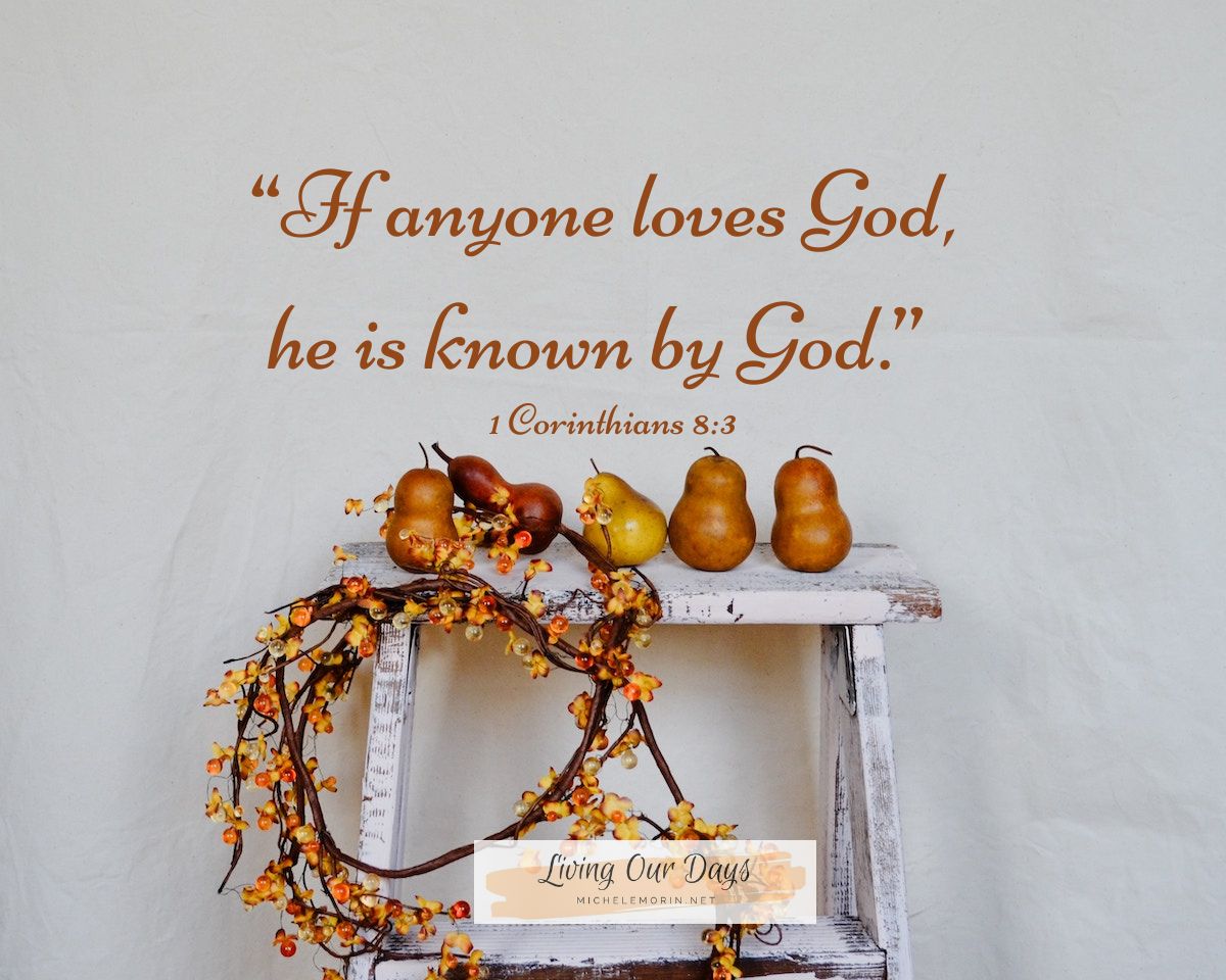 Solid Truth for the Days When You’re Feeling “Less Than” – Living Our Days