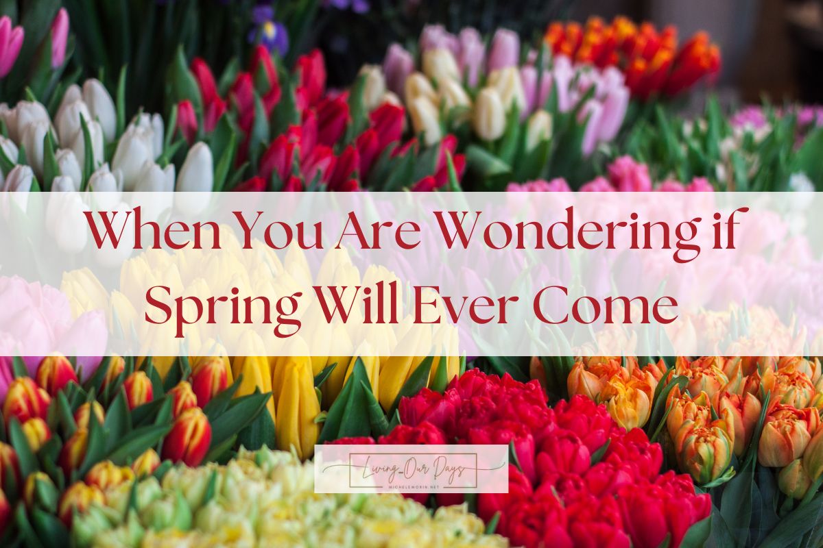 When You Are Wondering if Spring Will Ever Come – Living Our Days