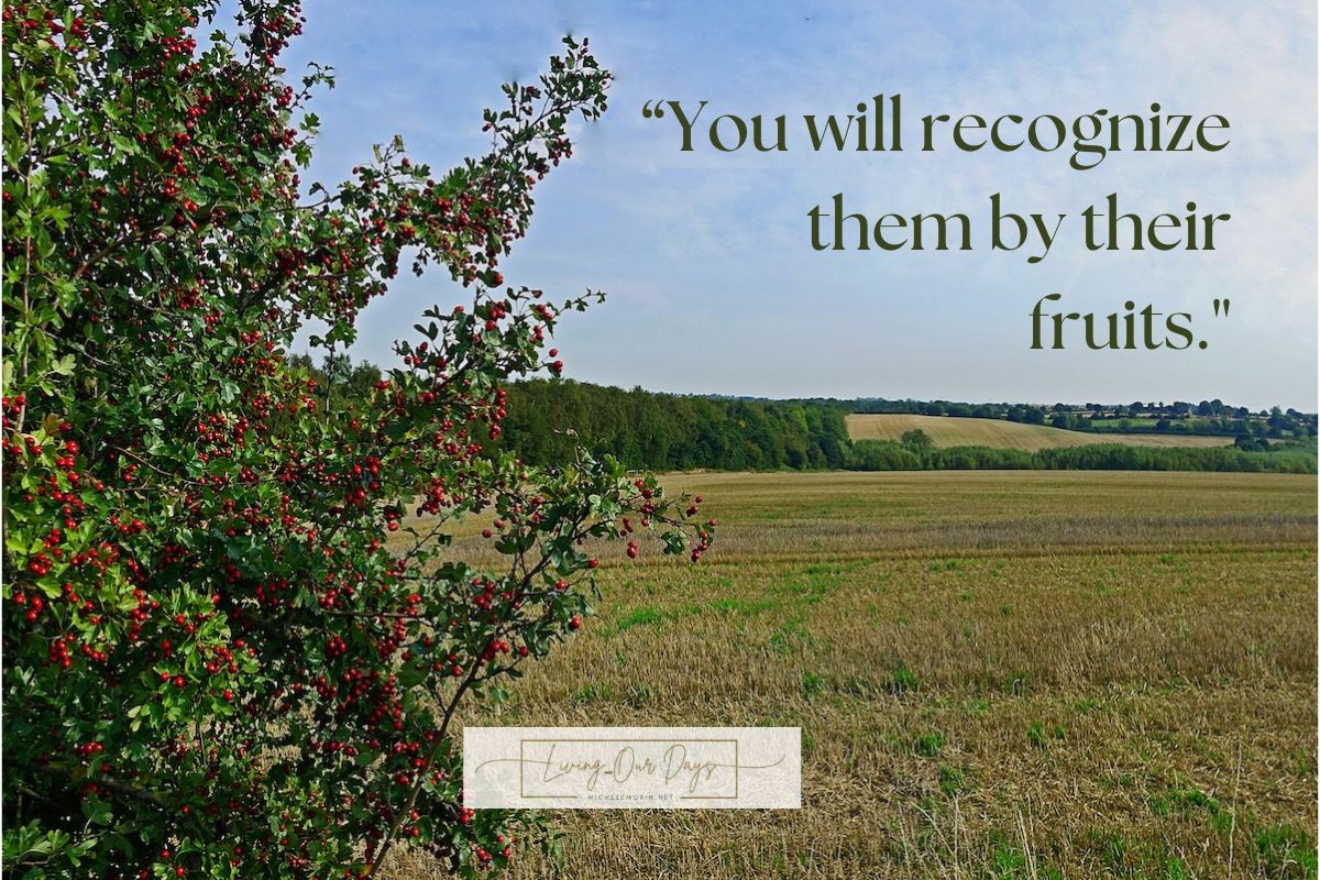 Living Our Days – Gaining a heart of wisdom