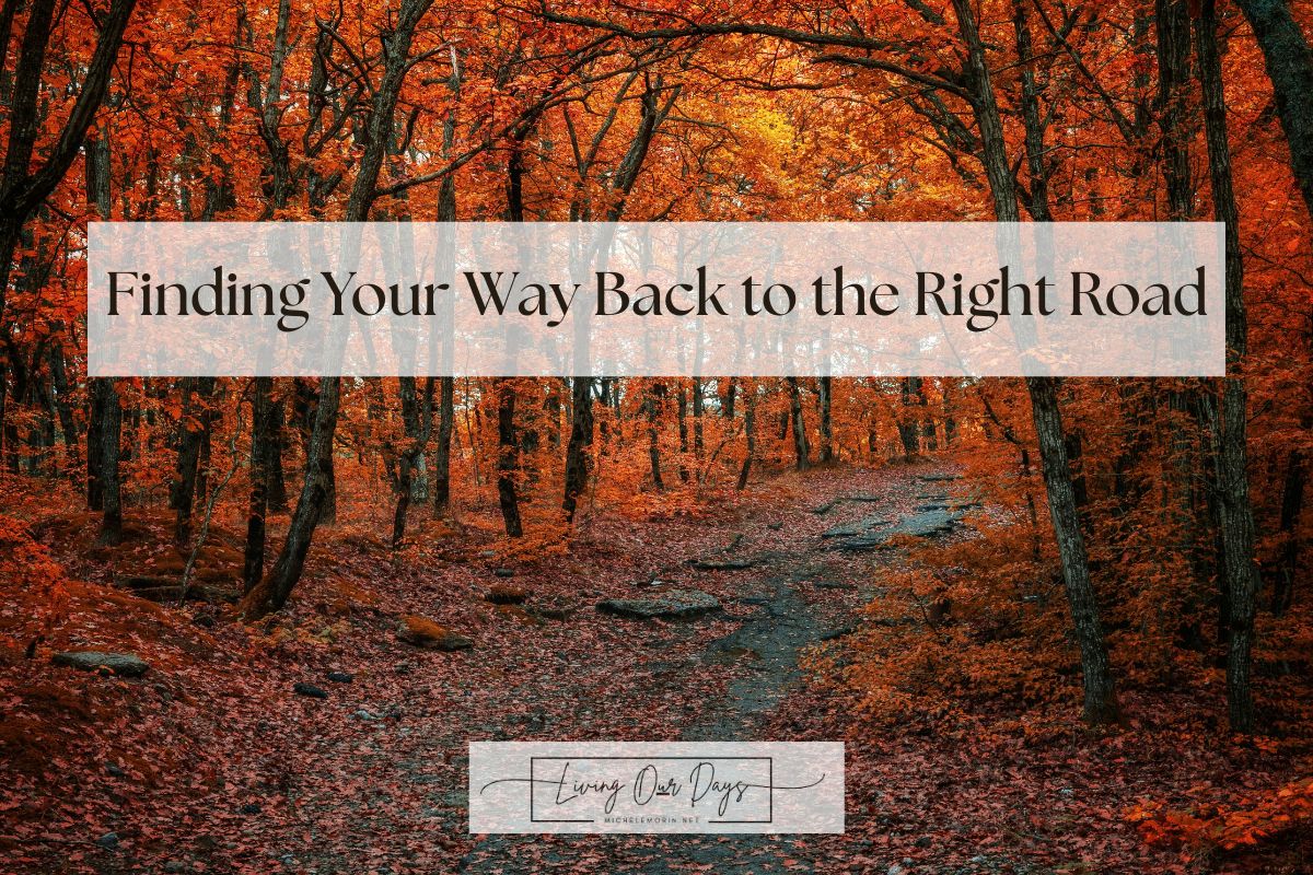 Finding Your Way Back to the Right Road – Living Our Days